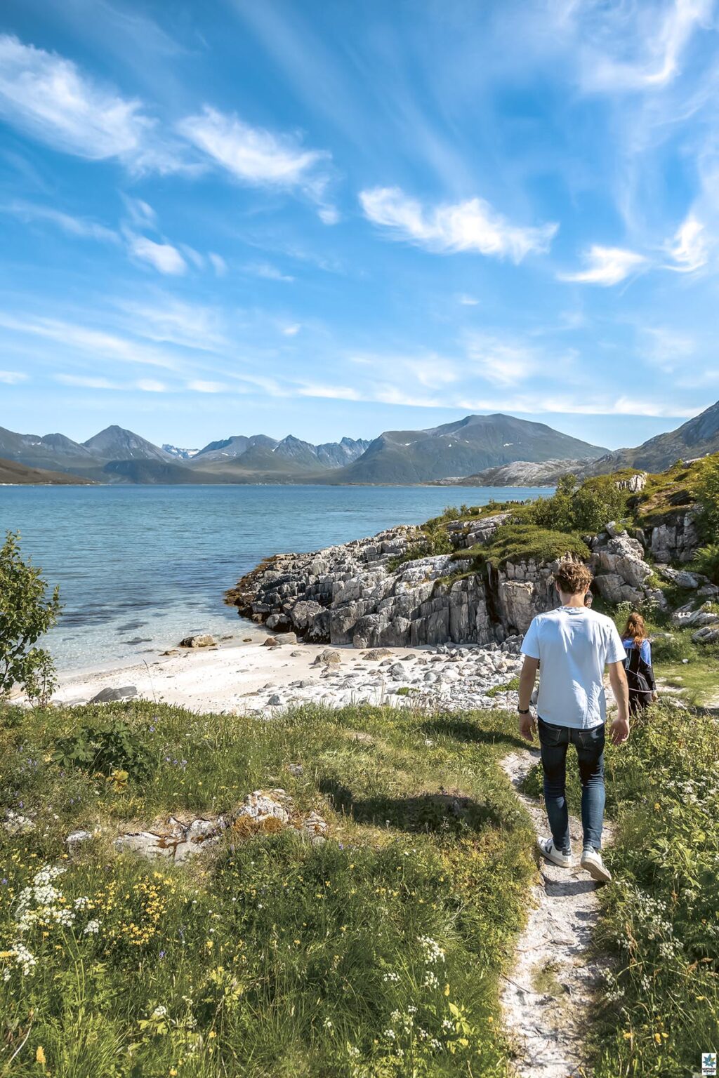 Private Sommarøy Arctic Day Trip - Northern Norway Travel